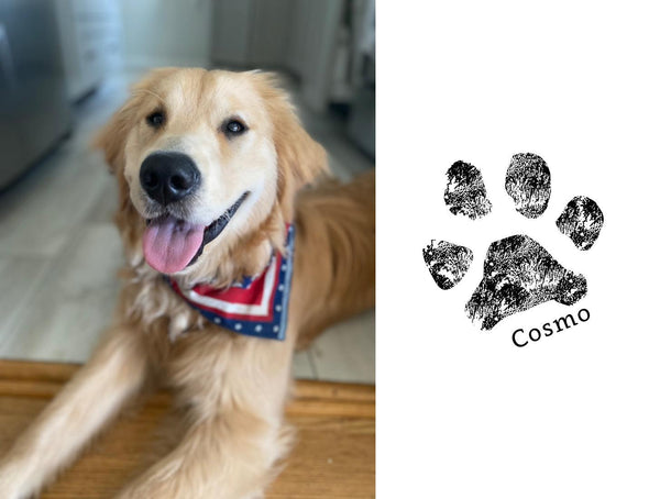 Dog, Cat, Pet Paw Print Signature Stamp